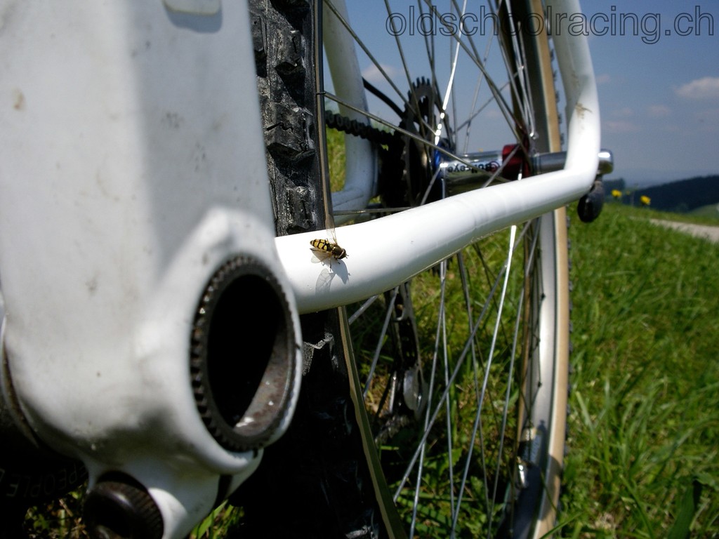 1988 Yeti FRO - oldschoolracing.ch - vintage Mountainbikes race ready!