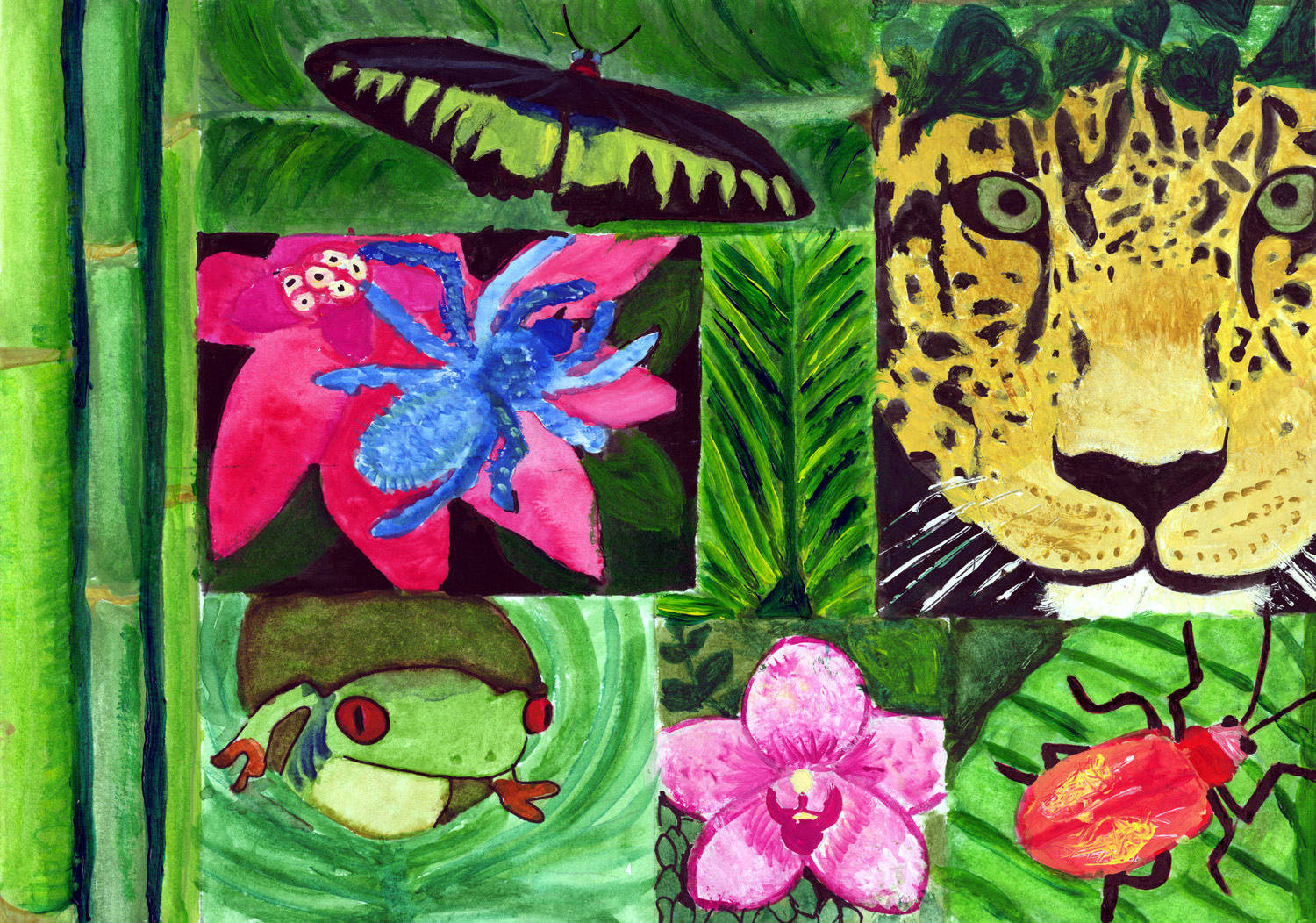 Biodiversity - fgpe childrens art gallery