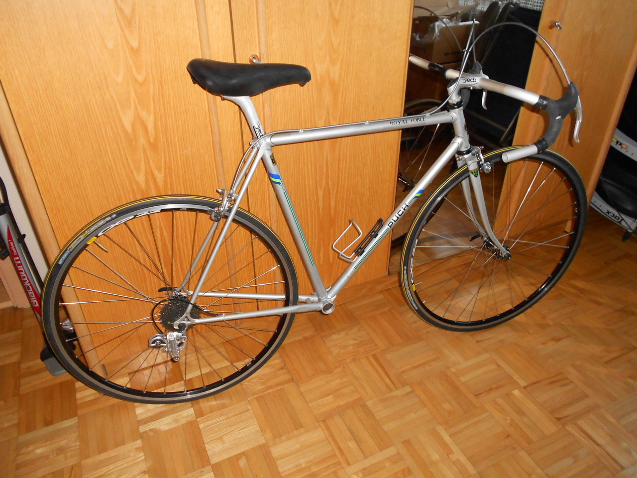 Rad Nummer 15: Puch Mistral Royal Force - Wolfgang Zauner