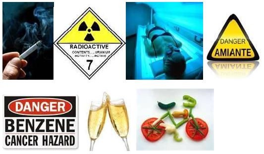 La transgenèse ou la fabrication des OGM - Site de svt-cellule