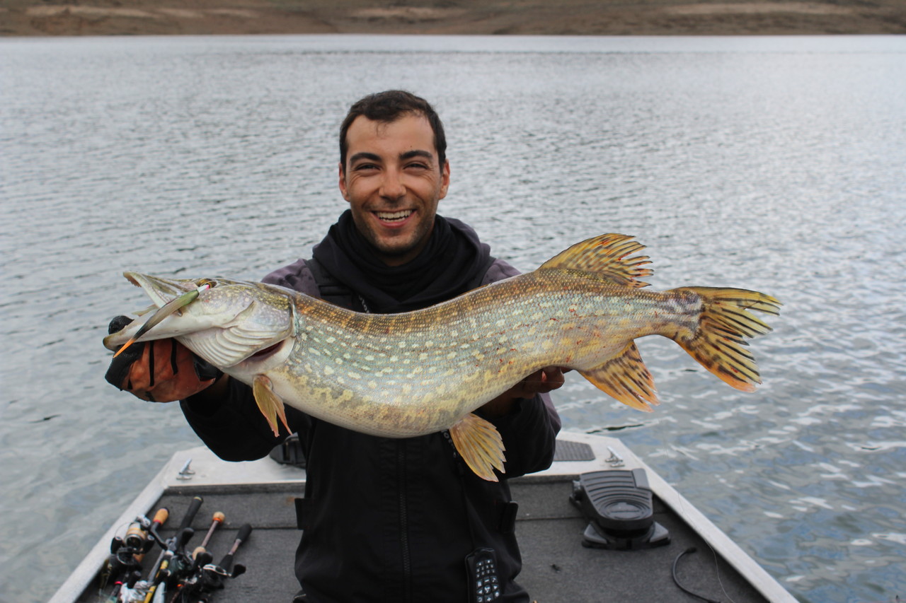 Les 3B ou Brochet, Black-Bass et Barbeau - the french fishing guide