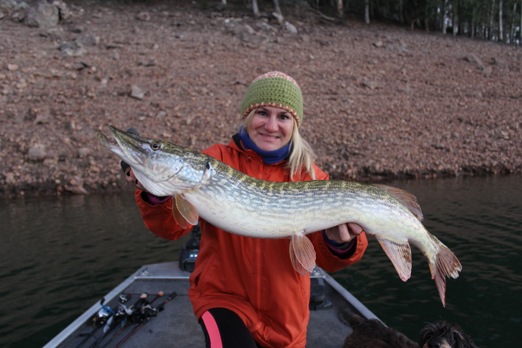 Les 3B ou Brochet, Black-Bass et Barbeau - the french fishing guide