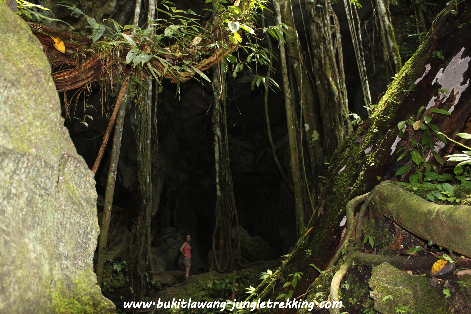 TOUR 6 - Landak River Trekking Package - Jungle Trekking Tours in Bukit ...