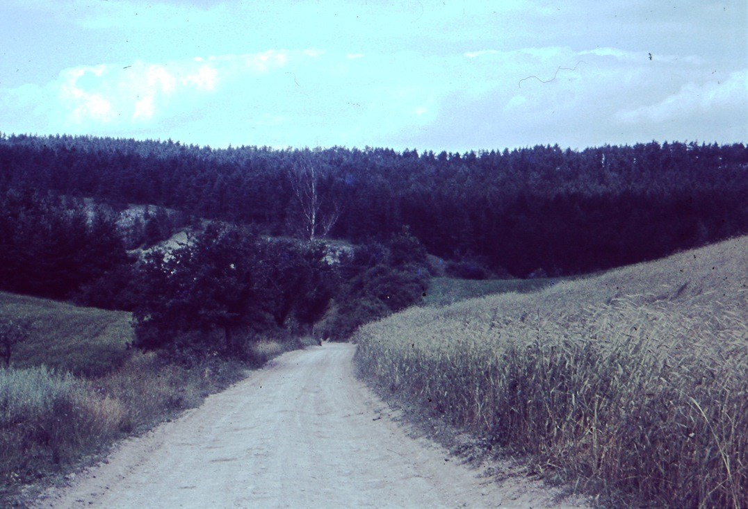 Damals im Jonastal - Tatort Jonastal