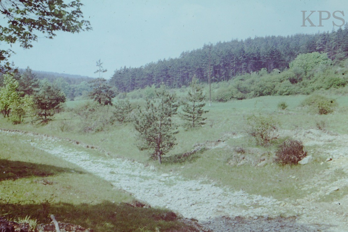 Damals im Jonastal - Tatort Jonastal