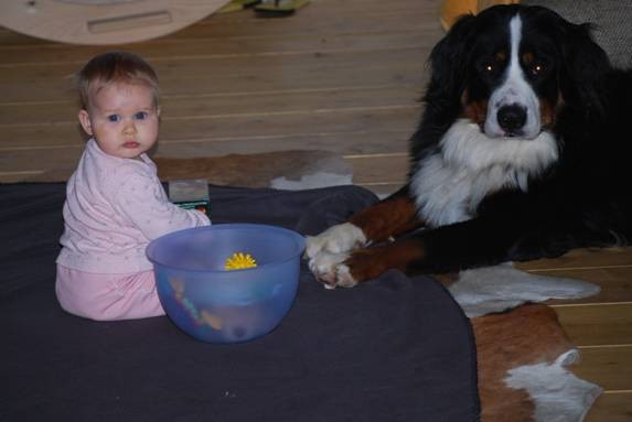 Berner und Kinder - bernerwelpens Webseite!