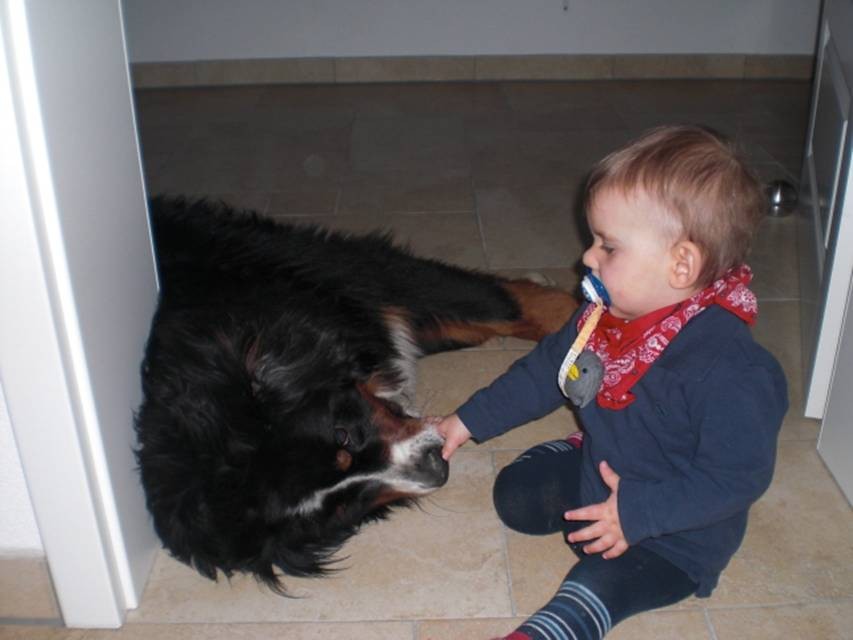 Berner und Kinder - bernerwelpens Webseite!