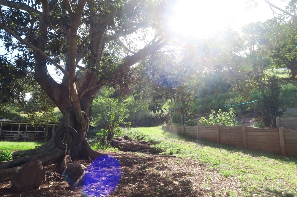 Auf der Mooloo Farm - Part 1 - svenisjourneys Webseite!