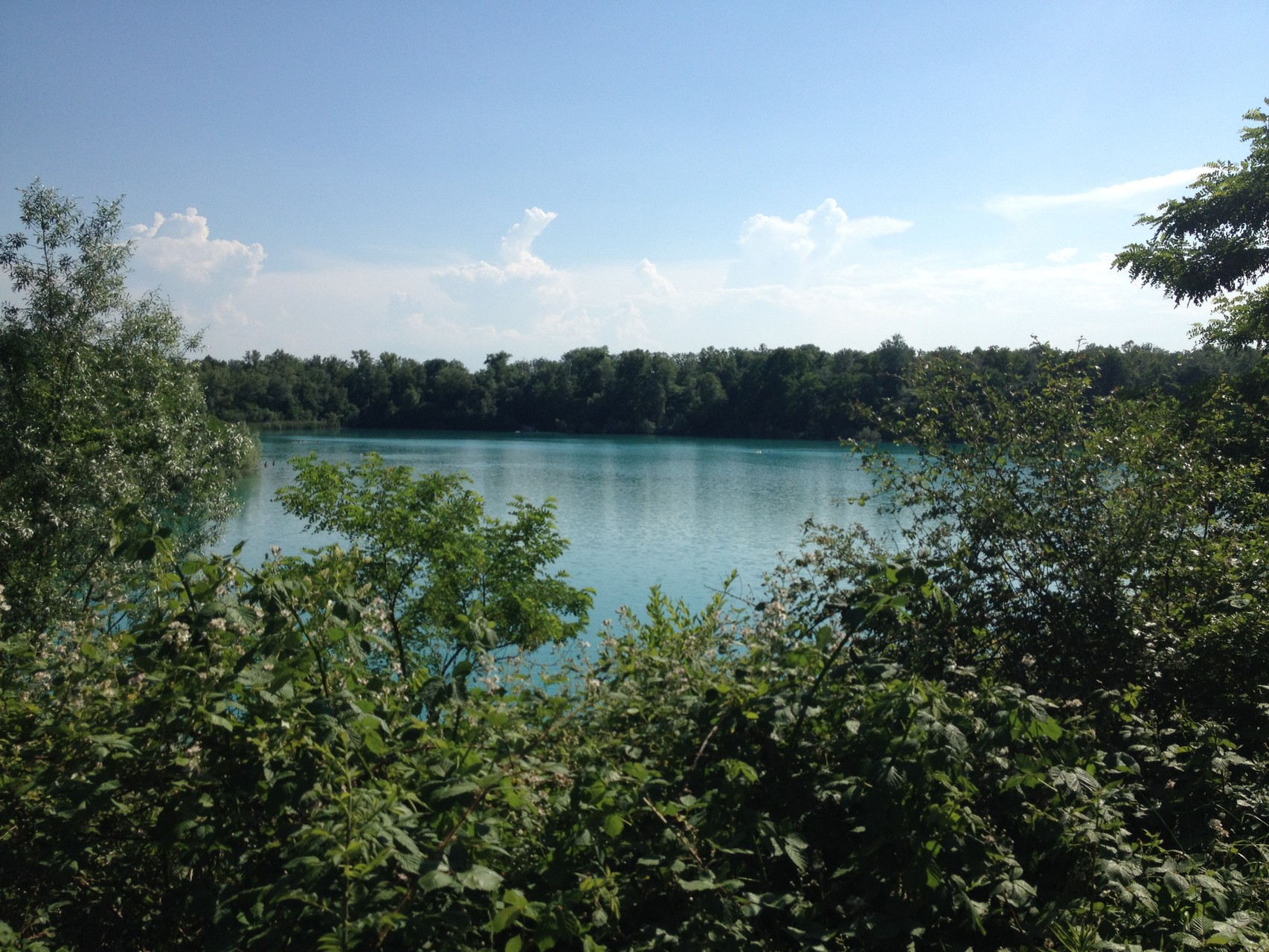Baggersee Steinenstadt - loerrachhunds Webseite!