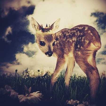 ohne worte kann sie auch mal - prinzessin rehauge :) - kummermaerchenhaft