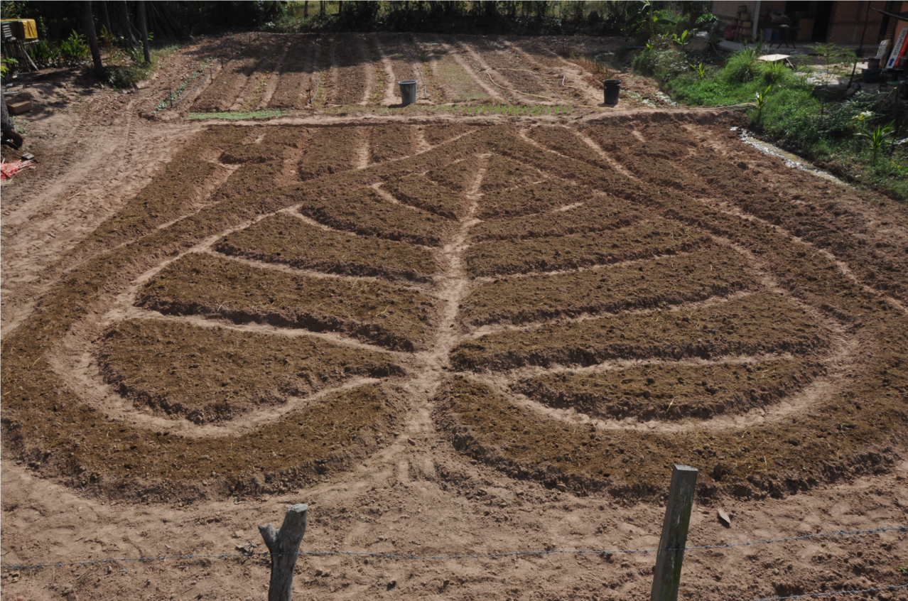 【Thailand】 Amazing Soil Art - OISCA CFP