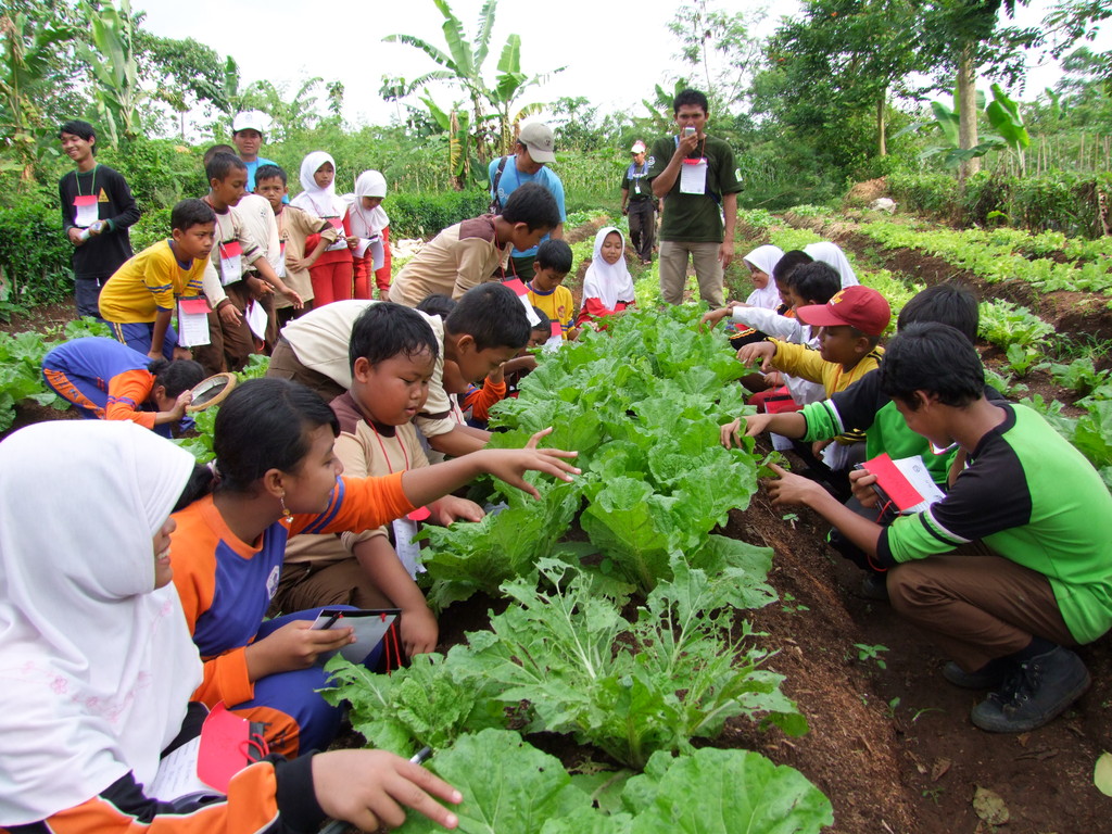 OISCA International - OISCA CFP