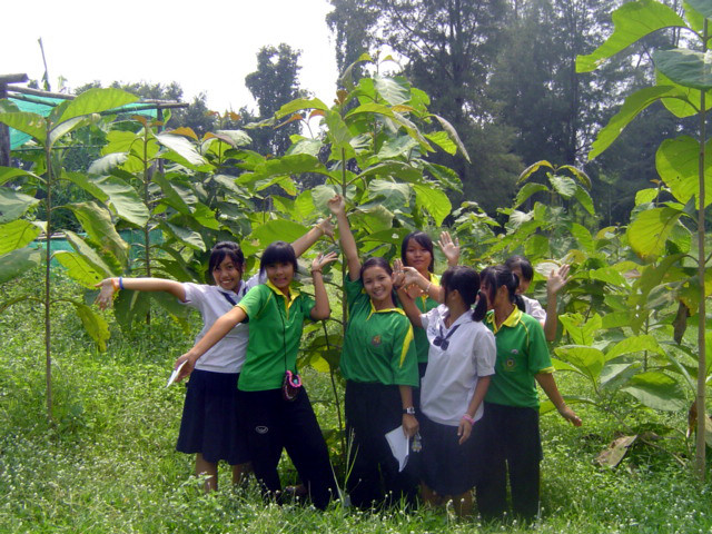 【Philippines】Paper Charcoal Making - OISCA CFP