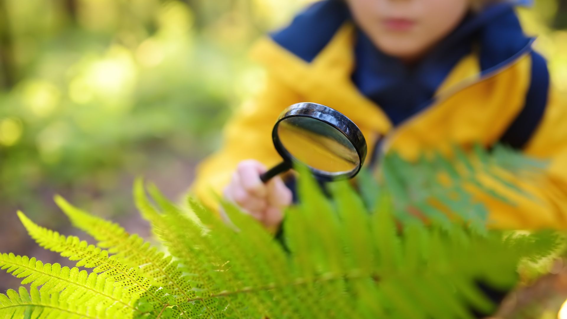 Oak Bay Preschool Victoria BC - Oak Bay Preschool