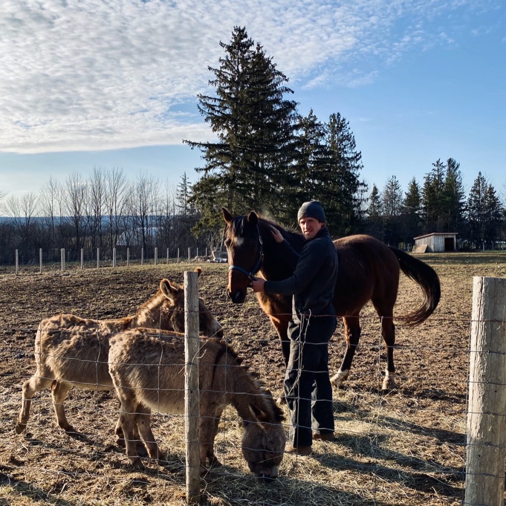 Farm Mascots - goodfamilyfarms