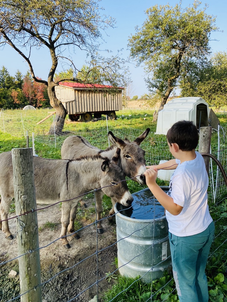 Farm Tours - goodfamilyfarms