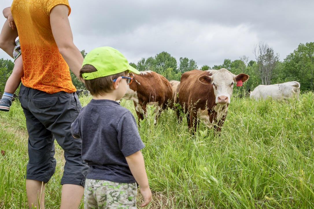 Farm Tours - goodfamilyfarms