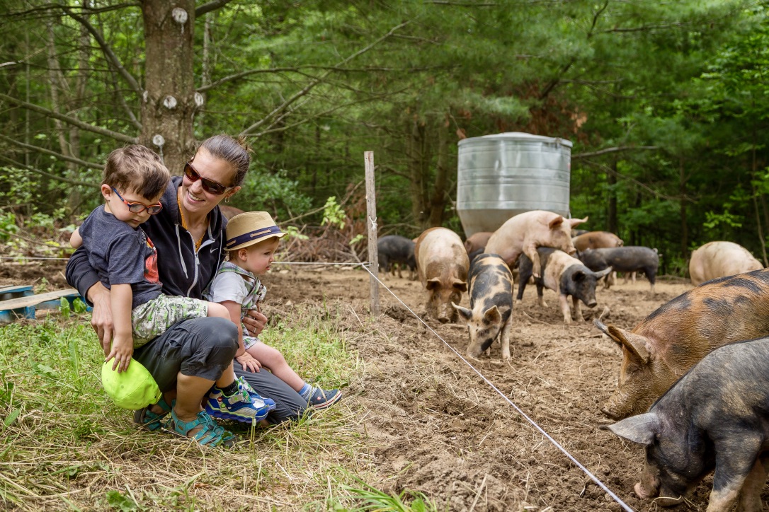 Farm Tours - goodfamilyfarms