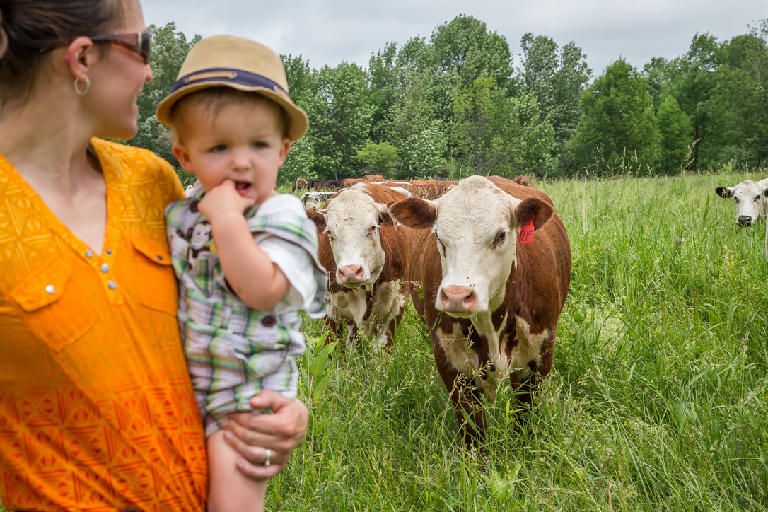 Farm Tours - goodfamilyfarms