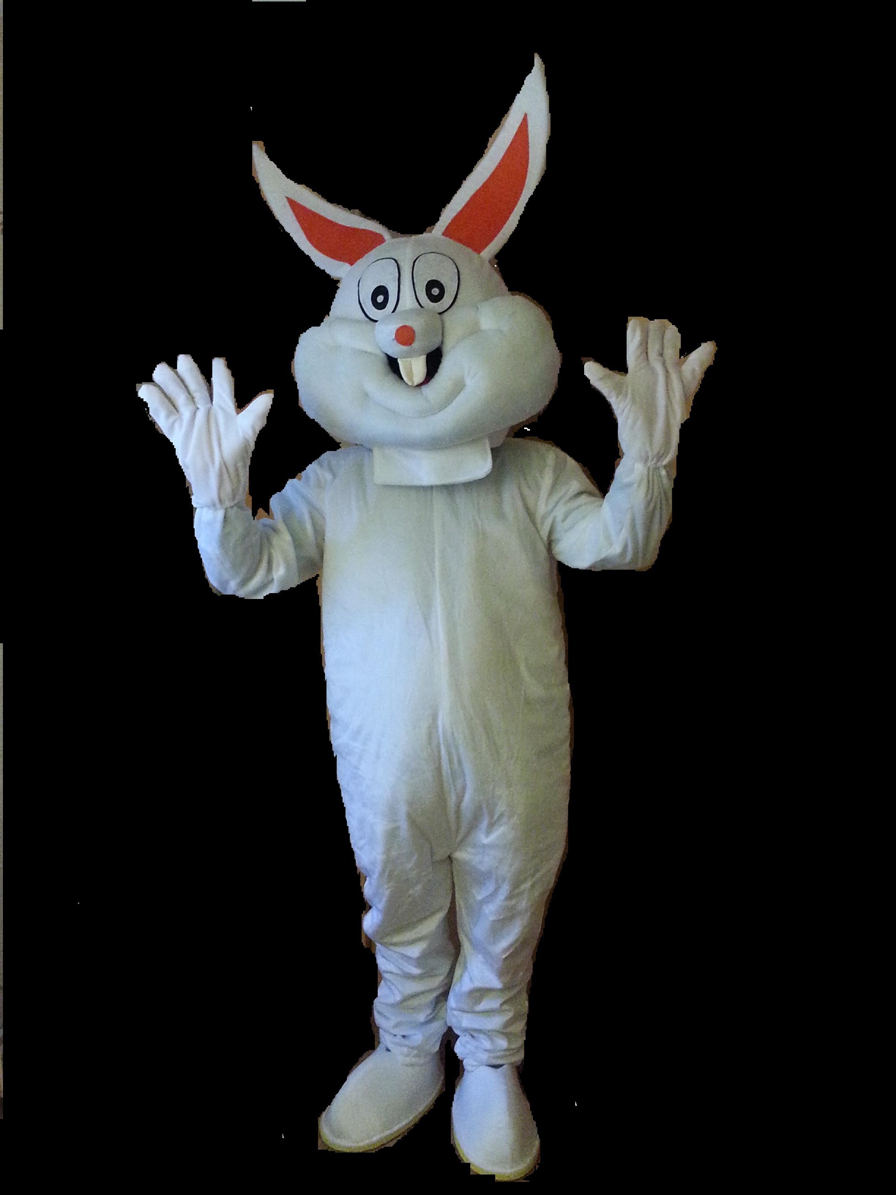 animation et location mascotte lapin - animation anniversaire enfant paris