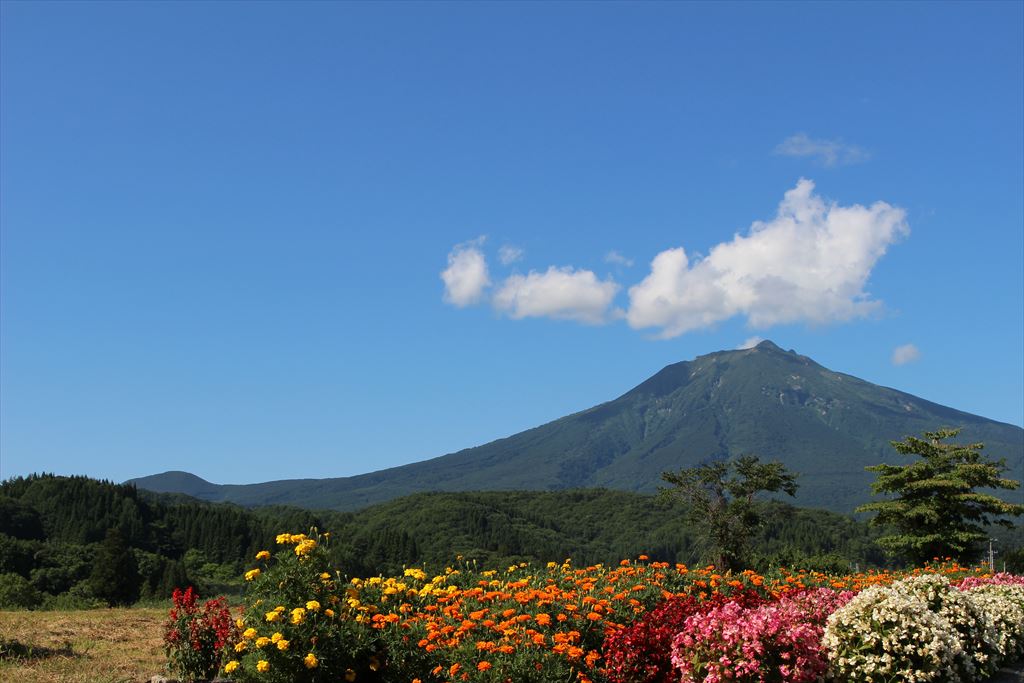 津軽白神ツアー - 【公式サイト】世界自然遺産白神山地／水陸両用バス／白神カレダ―