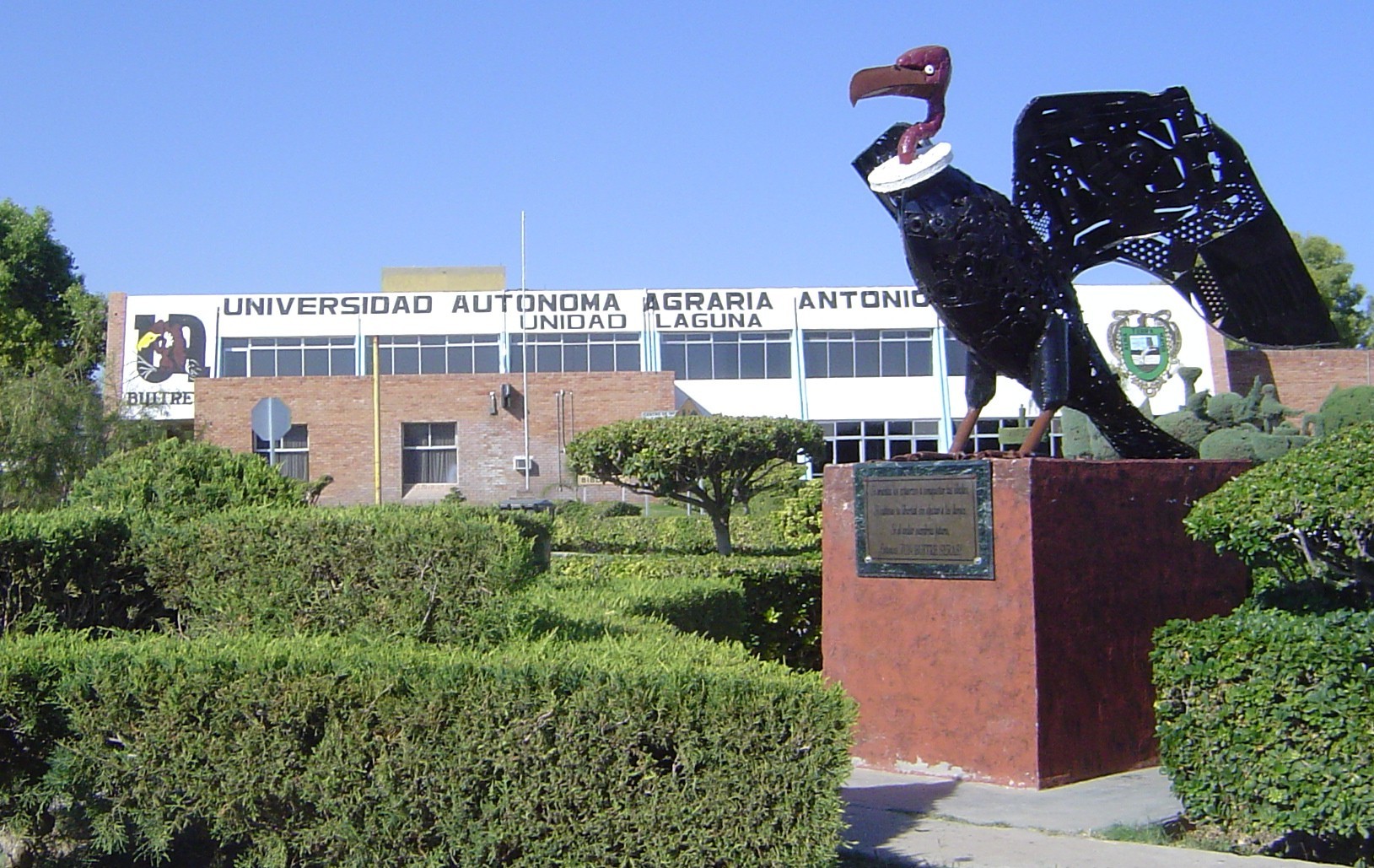 Galeria de fotos UAAAN-UL, y Departamento de Fitomejoramiento ...