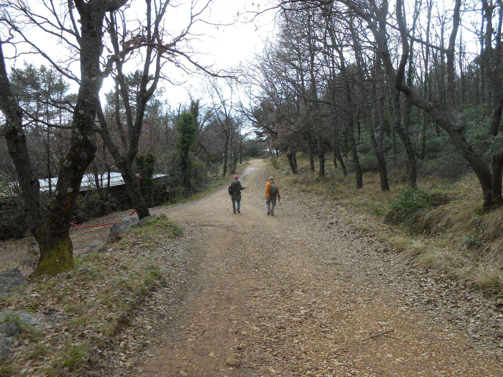 Col du Clapier (1229 m) Caussols - RandoGyP
