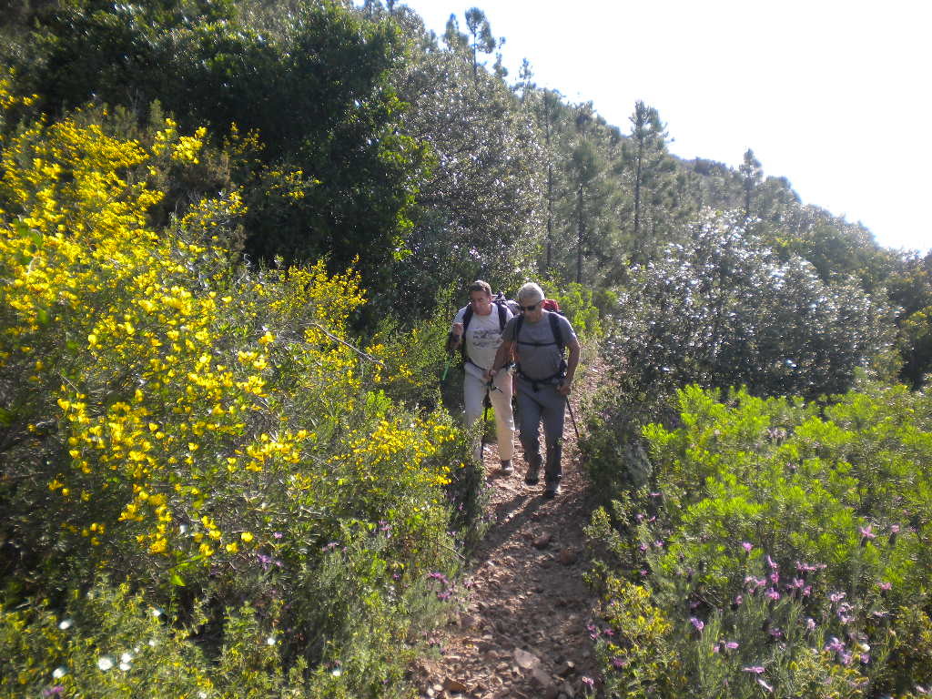 Estérel . Pic du Cap Roux . Lac de l'Ecureuil .Trayas - RandoGyP
