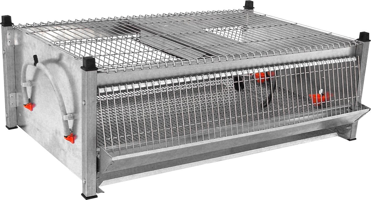 Criadora metal pollitos con calefaccion - GP