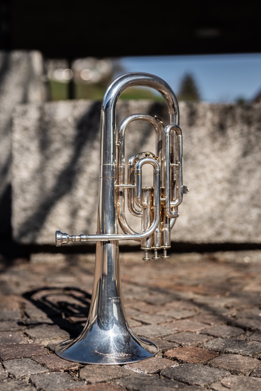 Es-Horn/F-Horn - mghirzel.ch