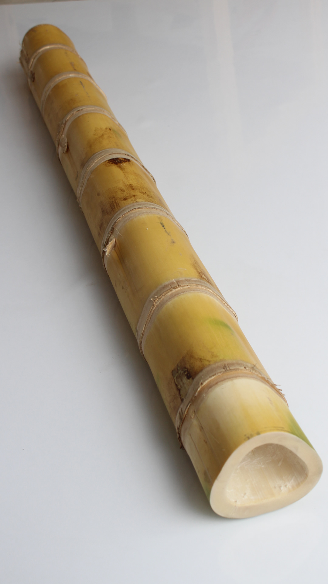 Guadua Bambú en Cachipay Cundinamarca Colombia Suramérica - Guadua Bambú