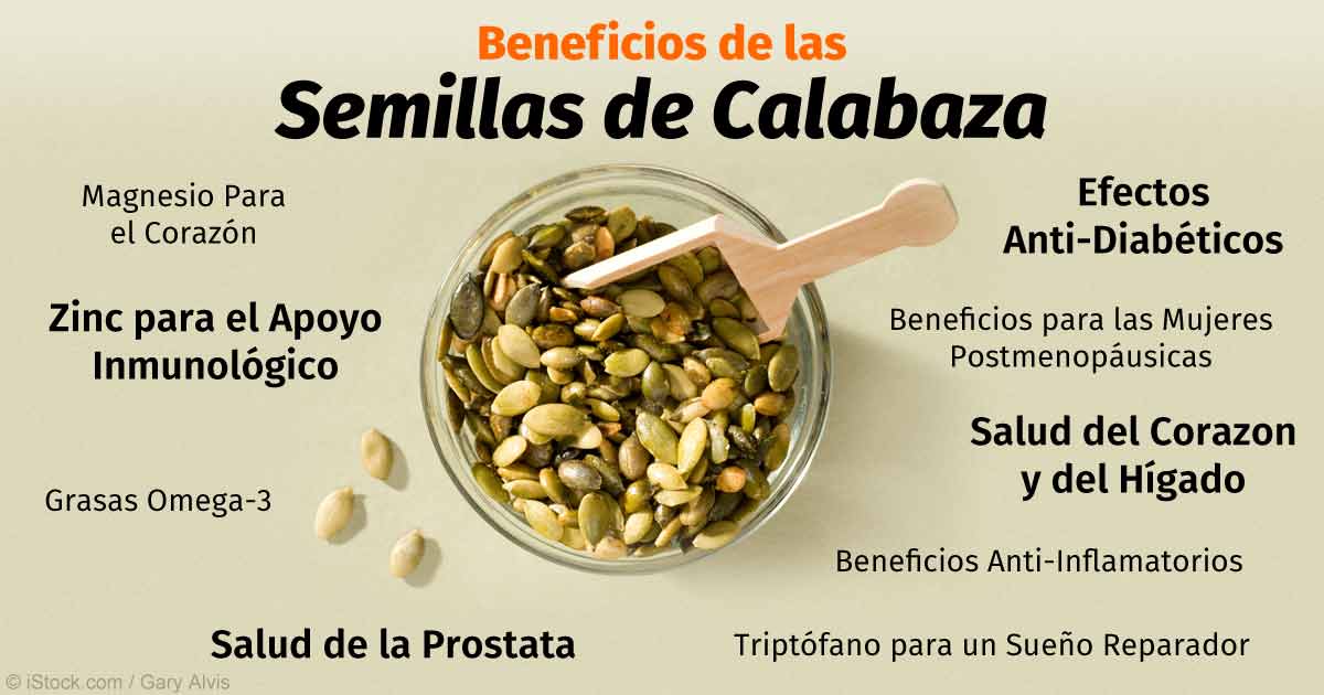 Alimentarse con Semillas, Tiene Grandes Beneficios. - Salud Ancestral