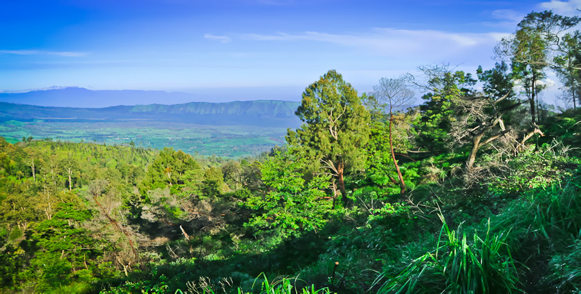 Une randonnée magnifique au cœur du volcan au cratère vert à l’est de ...