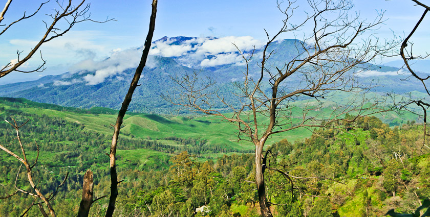 Une randonnée magnifique au cœur du volcan au cratère vert à l’est de ...