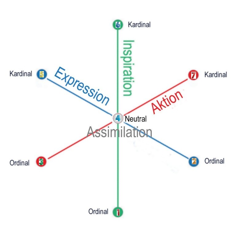 Achsen, Schnittpunkt und Ausrichtungen, Strukturmodel der Merkmale ...