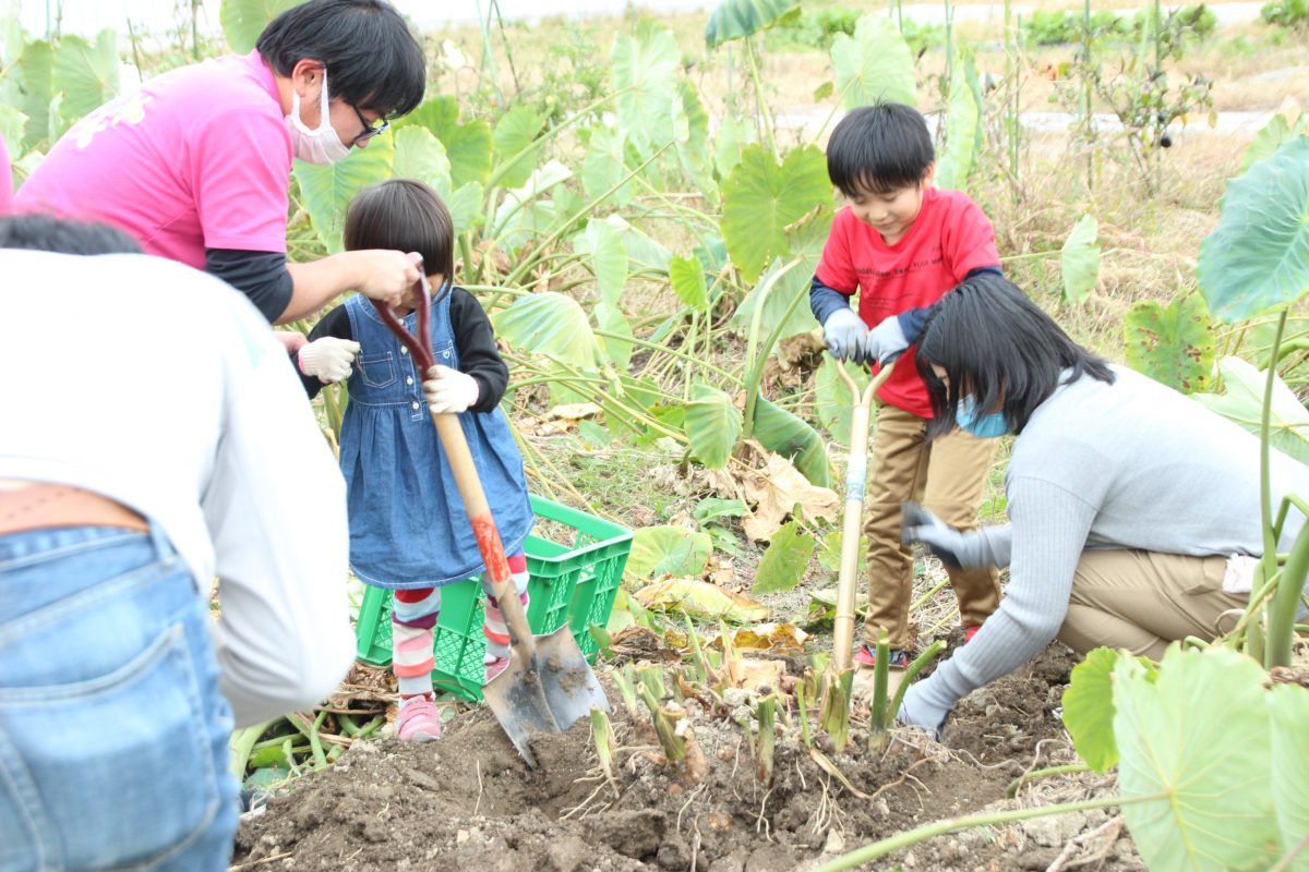 ぐるぐるNISSHINまちミル博覧会「完全オーガニックの里芋を収穫して食べよう」 - nisshinesd-sougou ...
