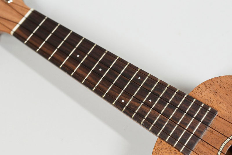 Famous FS-210 - guitarshoptantan （ギターショップタンタン）