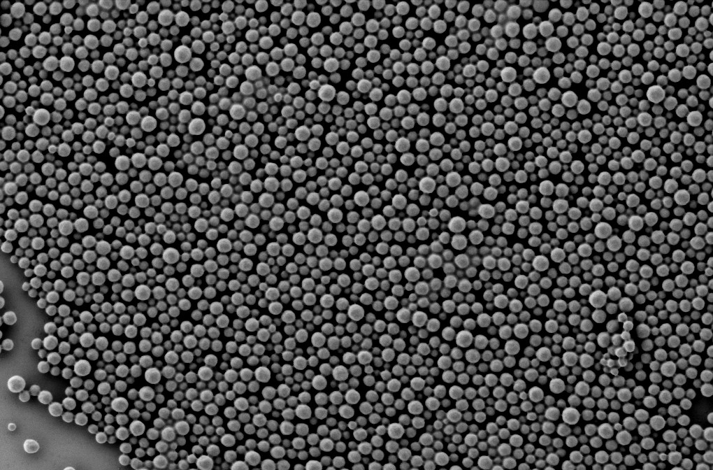 Prof. Dr. Daniel Klinger - Klinger-Lab