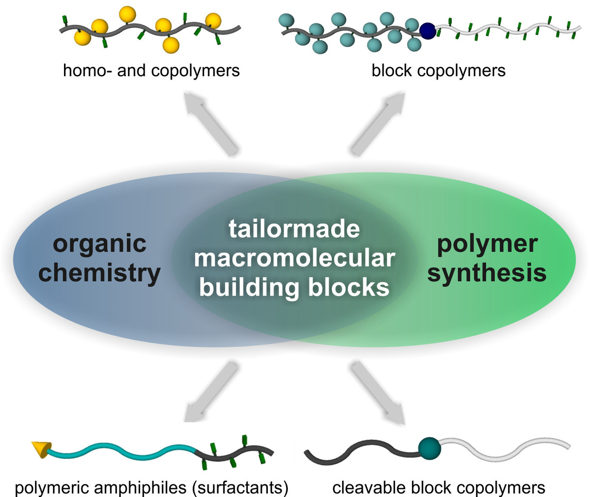 Research Core: Design and Synthesis of Functional Polymer Building ...