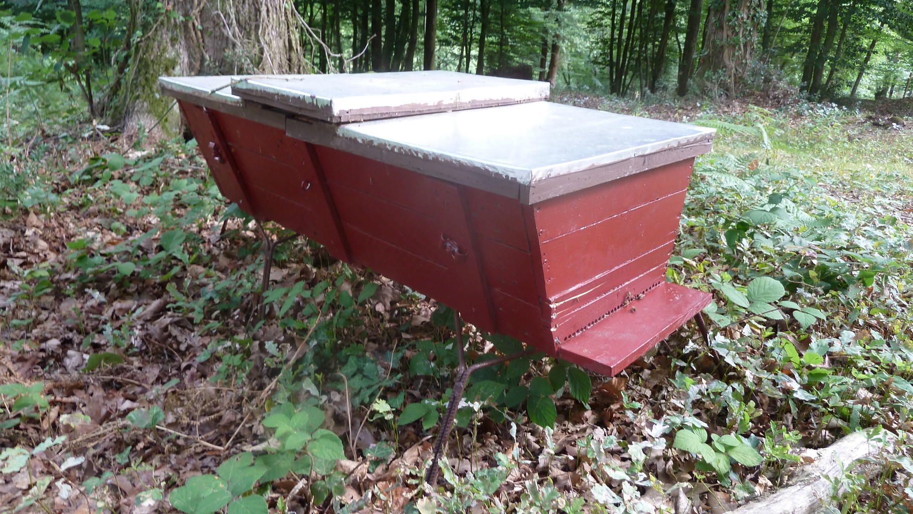 La ruche Kényane - Apicultureaquitaine, spécialisé en élevage de reines