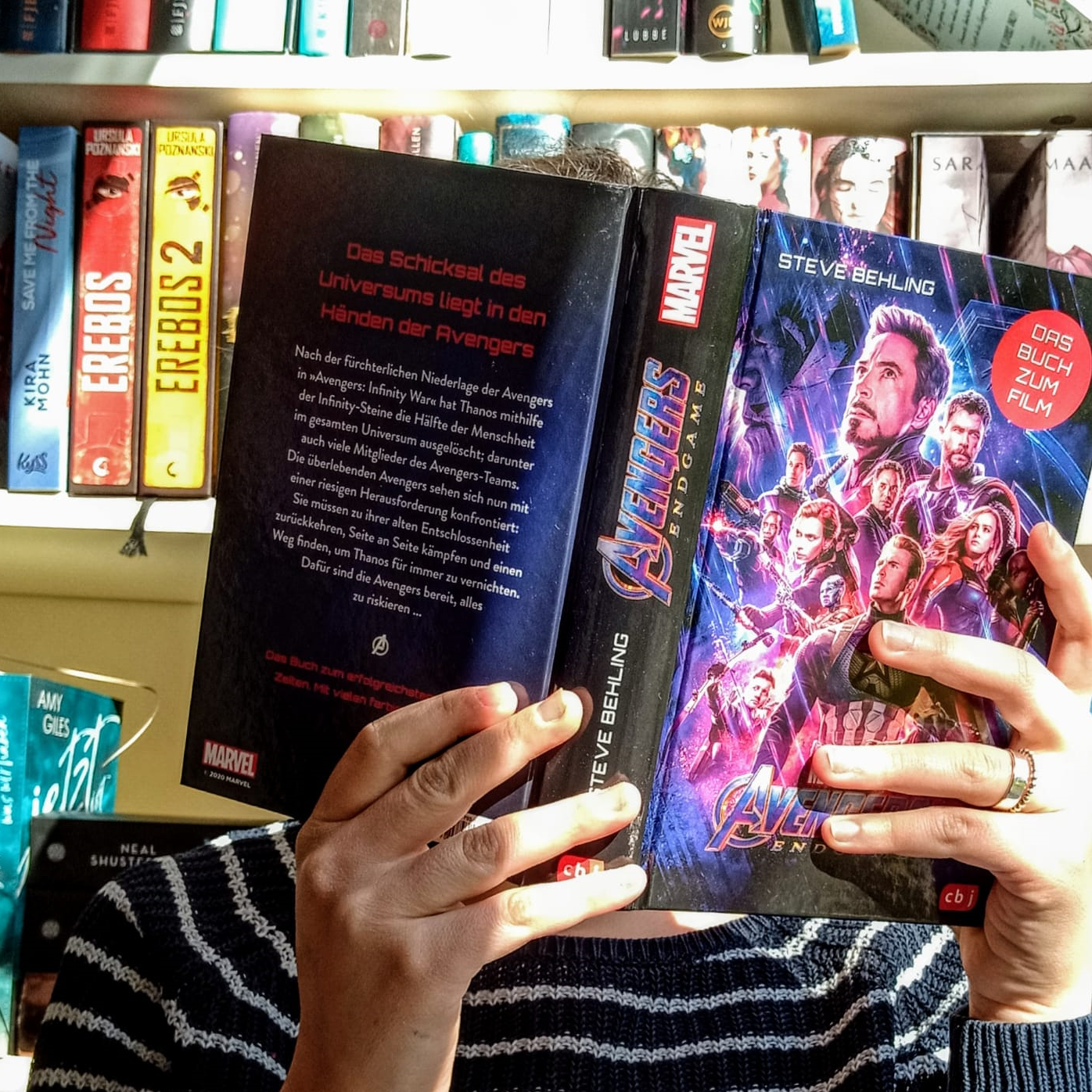 Avengers - Endgame - Bookdivers Bücherblog