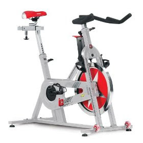 Schwinn ic pro 20 store