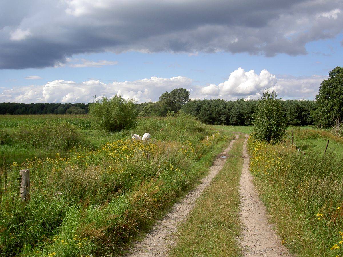 Stadtrand (im Norden) - stadtrandfotos-berlins Webseite!