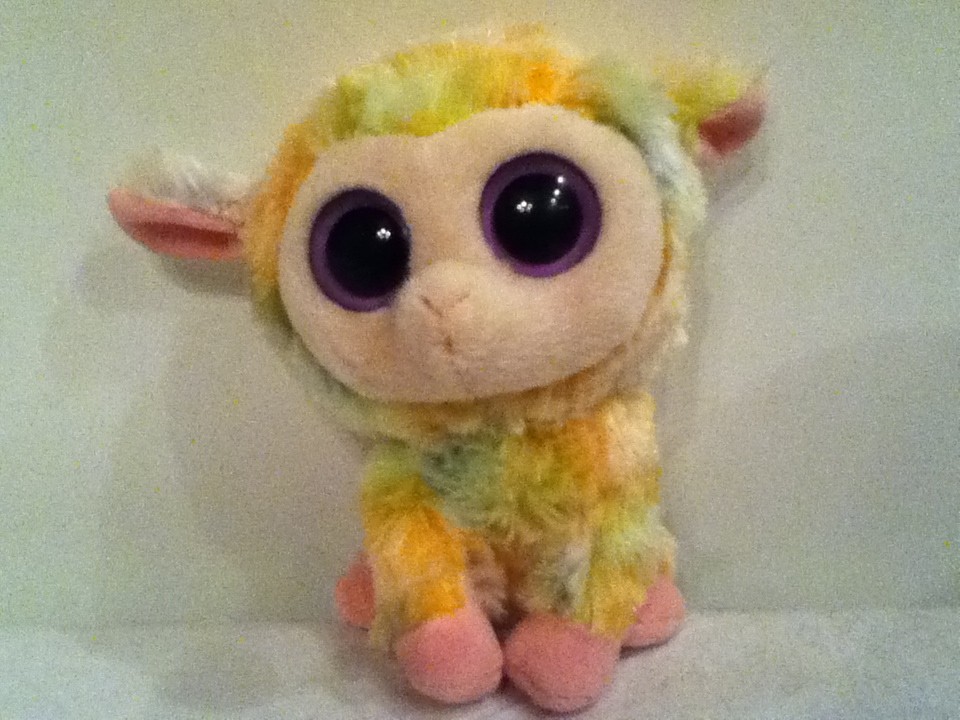 My collection - Beanie Boo collection website!