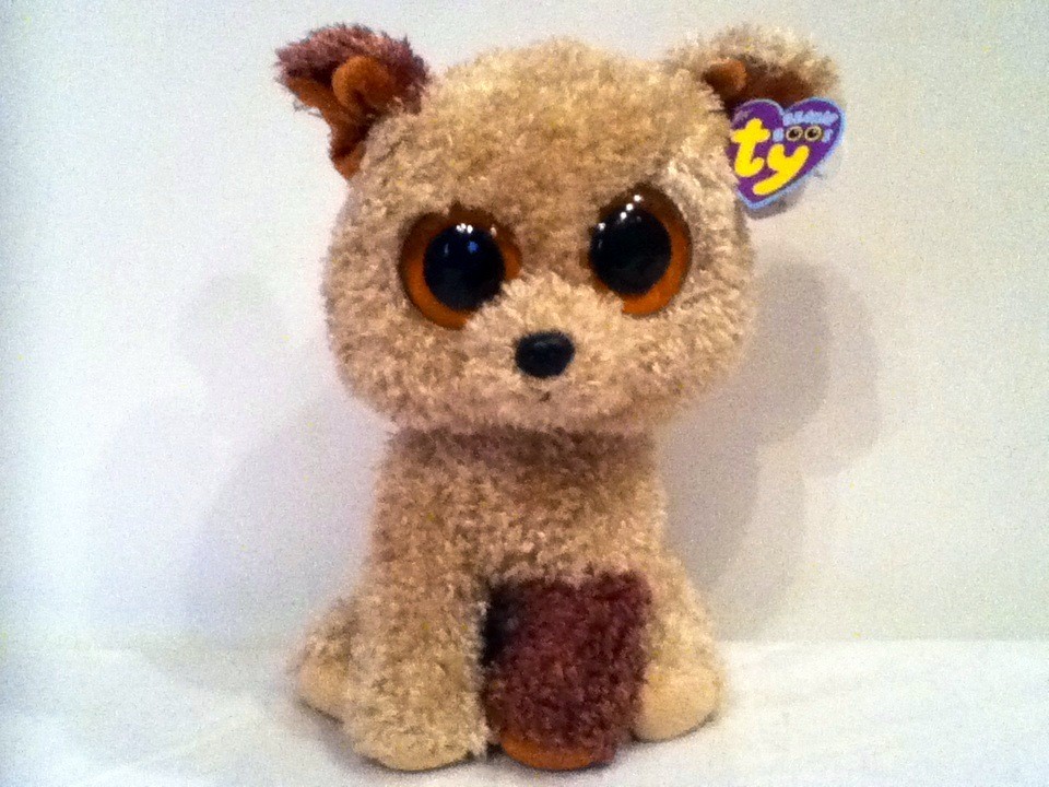 My collection - Beanie Boo collection website!
