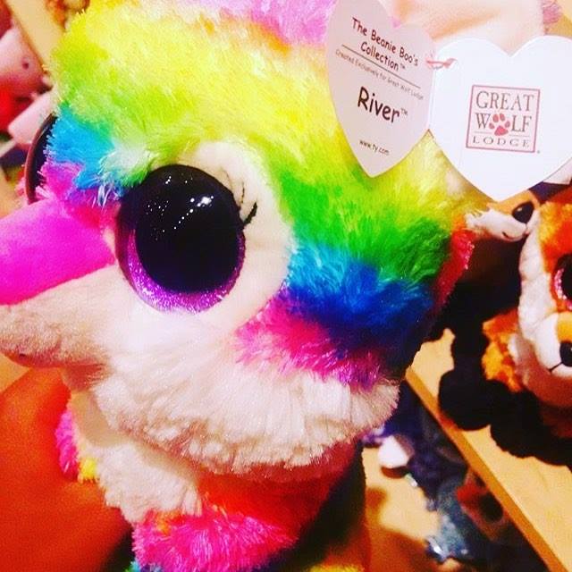 Two new Beanie Boo Great Wolf Lodge Exclusives! - Beanie Boo collection ...