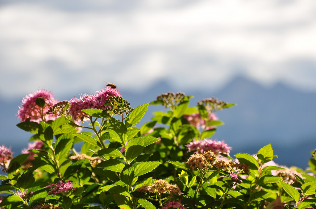 Paysage - Site de solysan