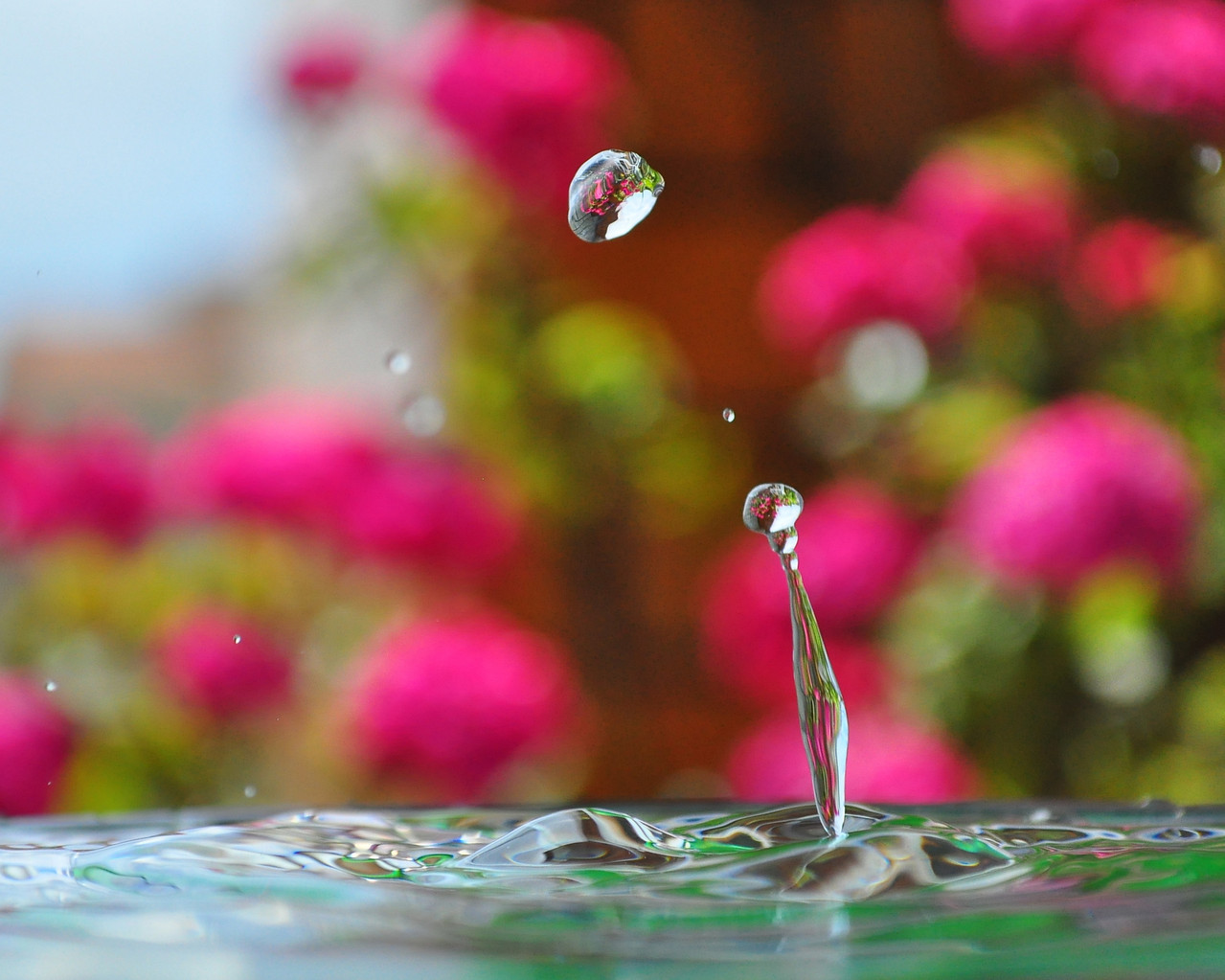 Paysage - Site de solysan