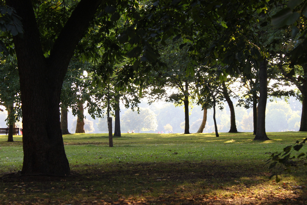 Paysage - Site de solysan