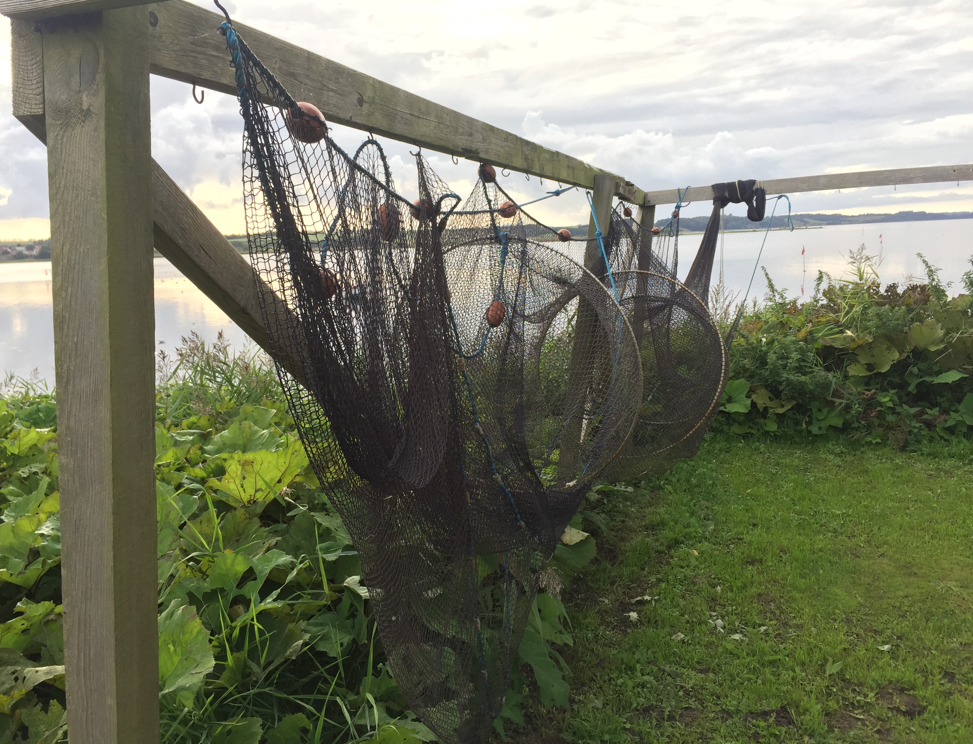 Zoeken.. - Lubor Education